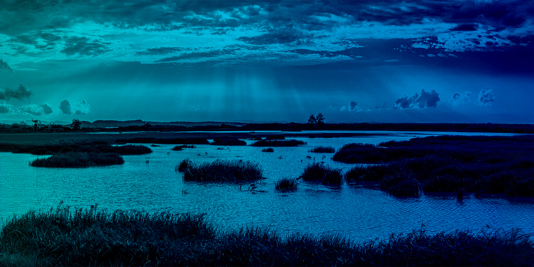 Carbon Capture Utilization & Storage | Gulf Coast Sequestration